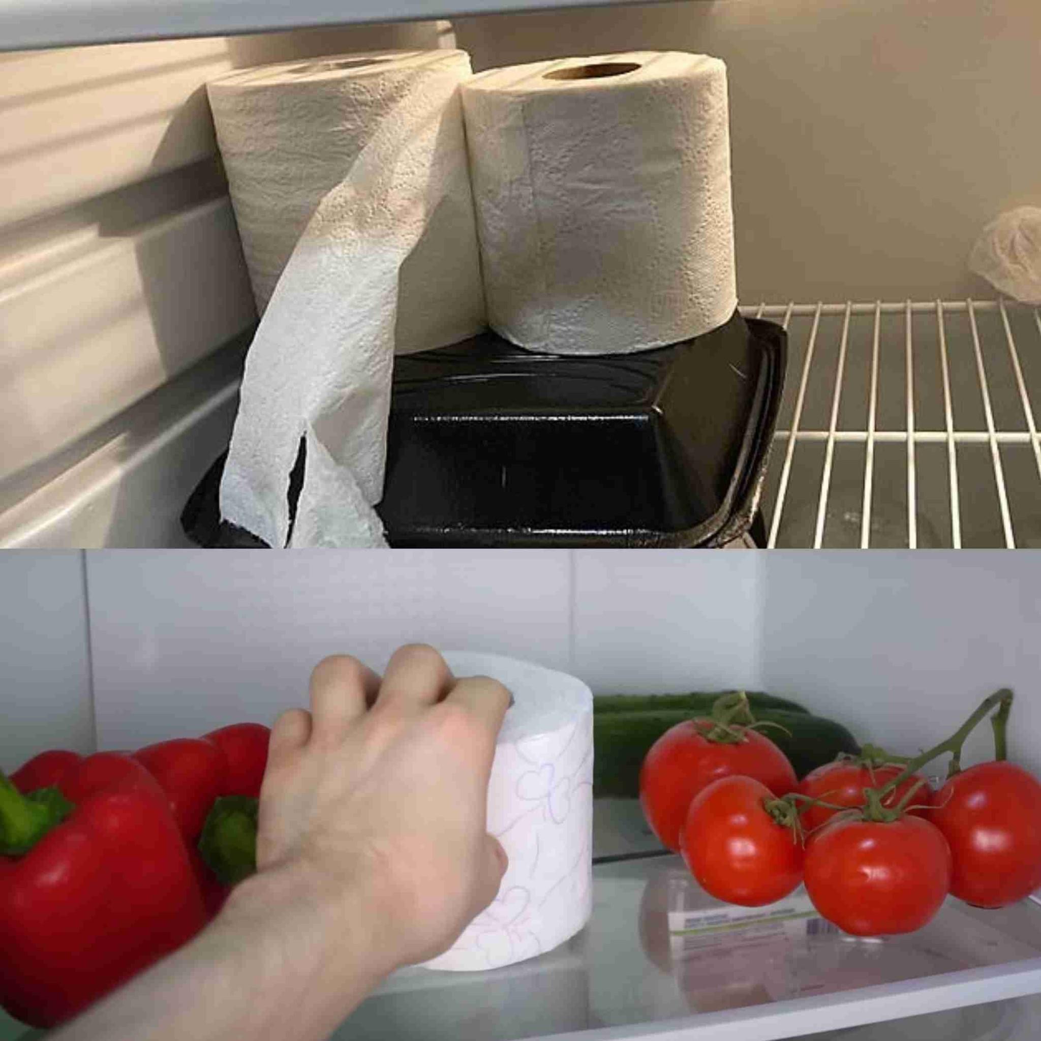 Why Some People Store Toilet Paper in the Fridge – TrendsNews99