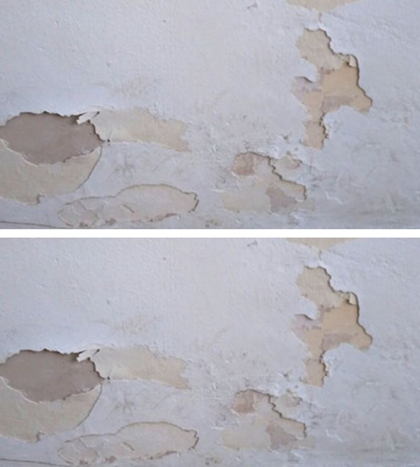 How to fix a wall damaged by salt and mold forever – TrendsNews99