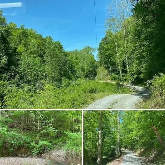 Land Tract with 63 Acres – TrendsNews99