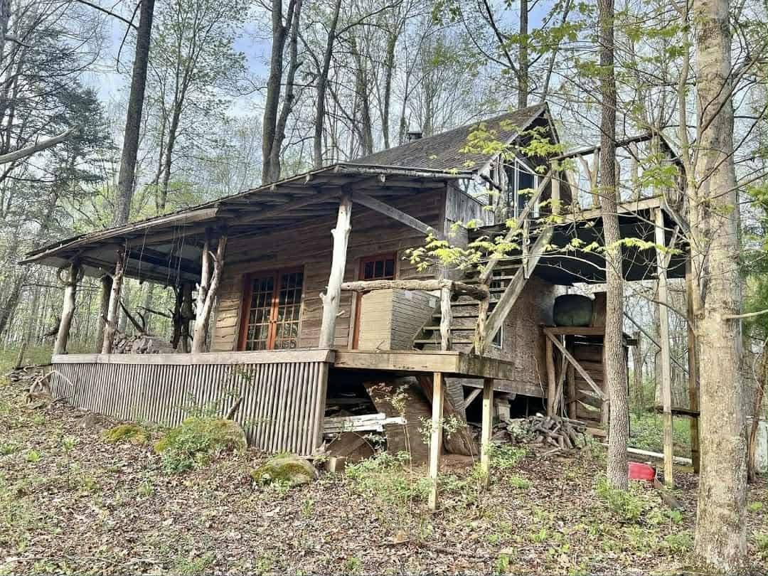 250 Acres of Wooded Land with Primitive Cabin— A Rare Opportunity for ...
