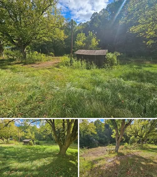 48-Acre Country Land with Highway Access, Timber Rights & Prime ...