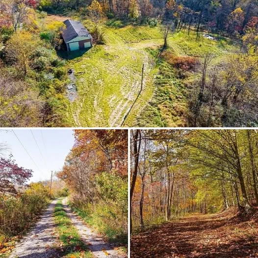107 Acres Prime Hunting & Recreational Land – TrendsNews99